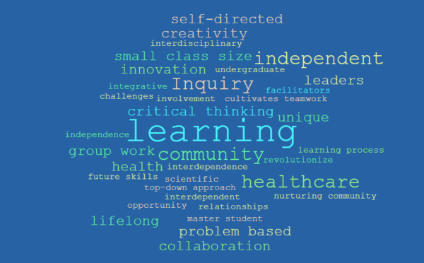 McMaster Bachelor of Health Sciences Honours Program - Master Student